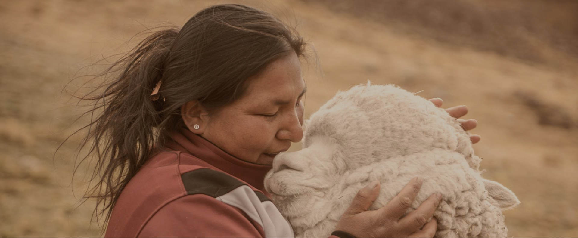 Why we love Alpaca | Alpaca del Perú