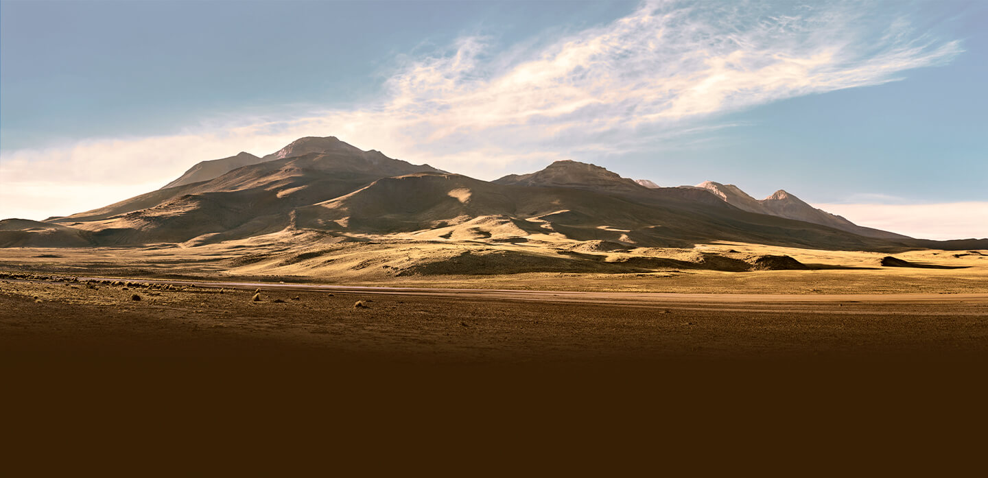 Alpaca del Perú: Fashion and Tradition